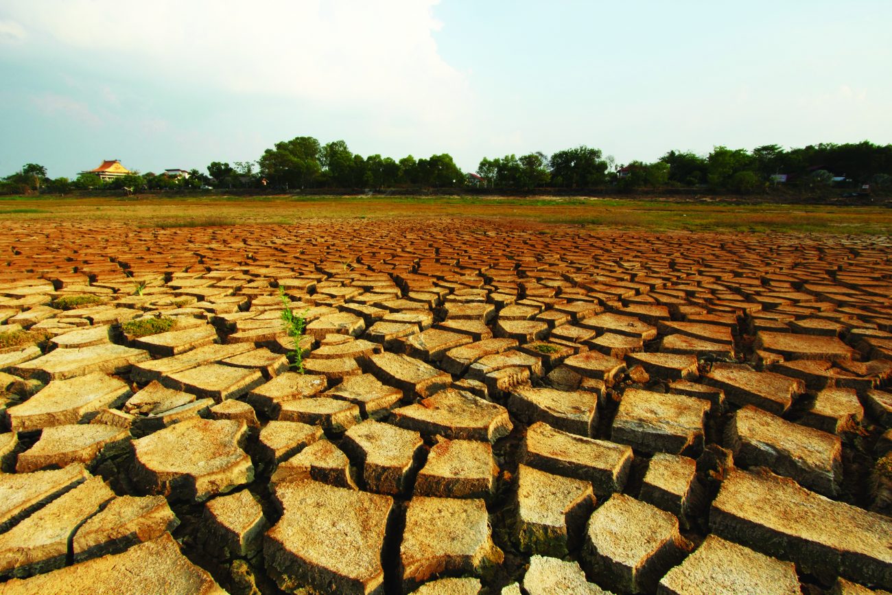 How satellites can help detect impending droughts | EUMETSAT