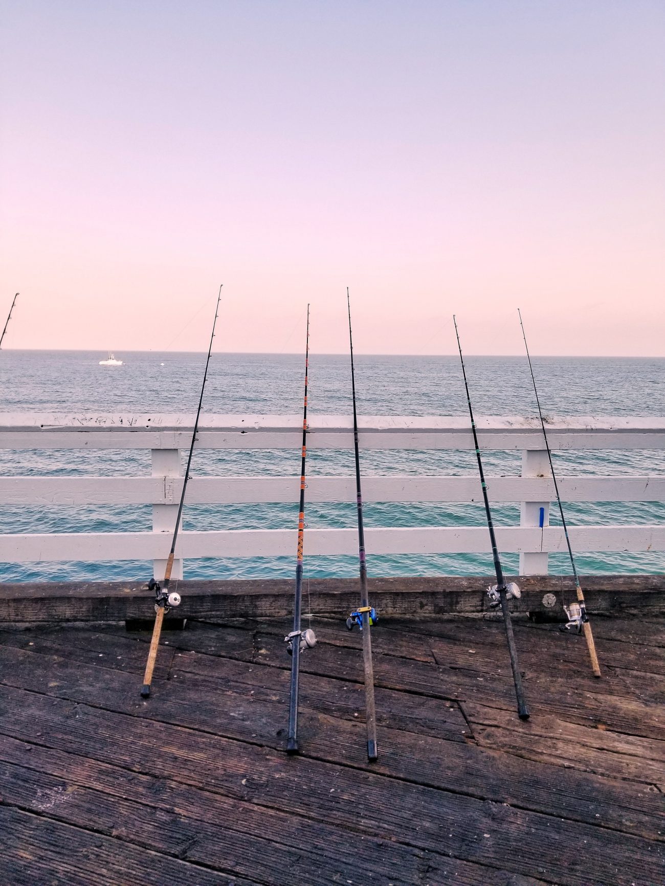 Monitoring the ocean and fisheries using Earth observation data | EUMETSAT