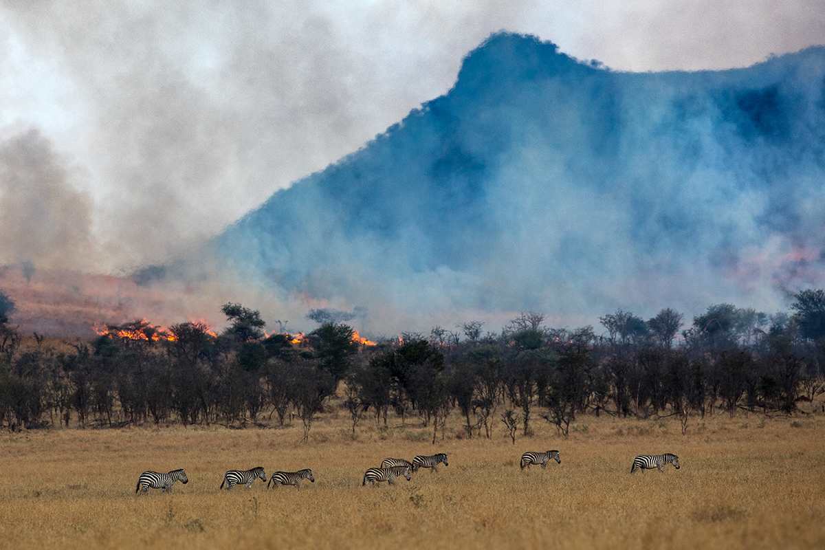 Fighting wildfires with satellite data in Tanzania | EUMETSAT